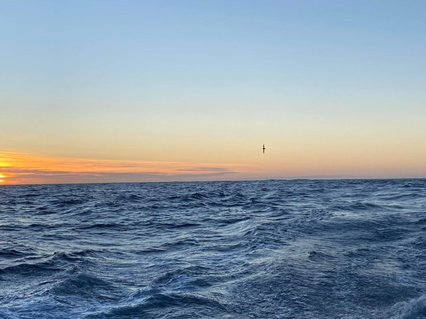 【DMG MORI boat log #6】 | 白石康次郎 公式サイト